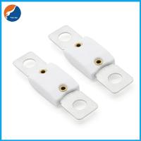 China High Amp 100A 120A 200A 250A 300A 350A 400A 450A 500A 80V Ceramic AMG ANM MEGA Fuse for sale