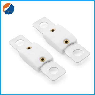 China High Amp 100A 120A 200A 250A 300A 350A 400A 450A 500A 80V Ceramic AMG ANM MEGA Fuse for sale