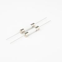 China Fast Acting 6x32mm Ceramic Tube Fuse 500V AC DC for High Energy Applications for sale
