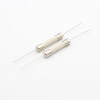 China 6x32mm Fast Acting Ceramic Tube Fuse 500V DC for Industrial Power Supplies for sale