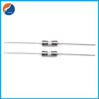 China 250V AC 3.6x10 Miniature Cartridge Fuse Time Delay Ceramic Tube Fuse for sale