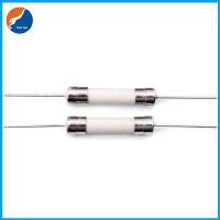 China Cylinder IEC60127-7 Miniature Cartridge Fuse Time Delay 250V Ceramic Fuse for sale