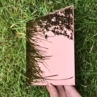 China HL Stainless Steel Decorative Sheet Cold Rolled 8K Mirror Customized Color for sale