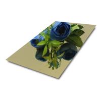China 201 Inox Color Stainless Steel Sheet Gold SS 304 Sheet Mirror Finish for sale