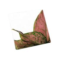 China PVD Mirror Finish Color Stainless Steel Sheet 0.3mm - 3.0mm Thick For Furniture for sale