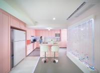 China Pink Colour Modular Kitchen Stainless Steel Cabinets Luxury Classic Custom for sale