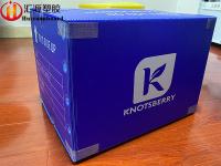 China Impact Resistant 3mm Foldable Corrugated Plastic Box for sale