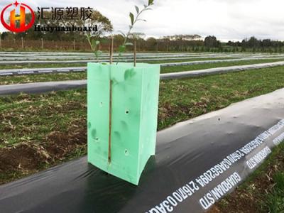 China Lightweight Foldable Triangular Corflute Tree Guards for sale