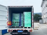 China 3mm Corrugated Plastic Tree Guards for sale