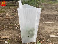 China SGS Recyclable Clear Corrugated Plastic Tree Guards for sale