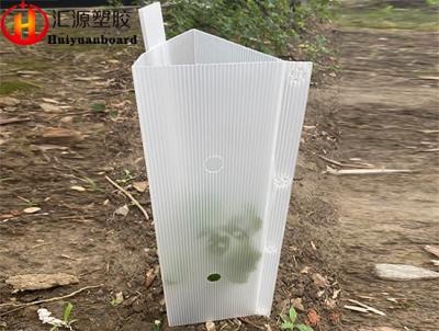 China SGS Recyclable Clear Corrugated Plastic Tree Guards for sale