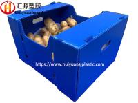 China Vegetables Fruits PP Corrugated Plastic Storage Boxes for sale