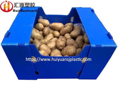 China Vegetables Fruits PP Corrugated Plastic Storage Boxes for sale