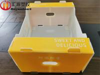 China Watermark Printing Correx Packaging Boxes For Fruits for sale