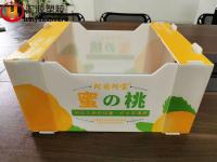 China Watermark Printing Correx Packaging Boxes For Fruits for sale