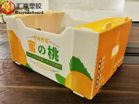 China Watermark Printing Correx Packaging Boxes For Fruits for sale