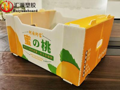 China Watermark Printing Correx Packaging Boxes For Fruits for sale