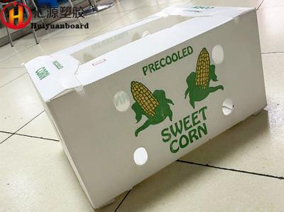 China Eco Friendly Corrugated Plastic Packaging Boxes , Recyclable Corflute Storage Boxes for sale