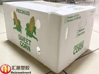 China Eco Friendly Corrugated Plastic Packaging Boxes , Recyclable Corflute Storage Boxes for sale