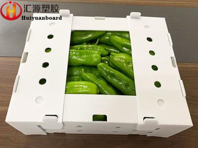 China Polypropylene Corrugated Plastic Packaging Boxes for sale