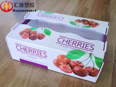 China Good Hardness 4mm Corrugated Plastic Shipping Boxes for sale