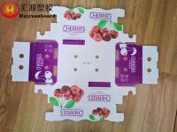 China Good Hardness 4mm Corrugated Plastic Shipping Boxes for sale