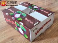 China Printable Reusable Corrugated Plastic Box , Foldable Corrugated Plastic Box for sale