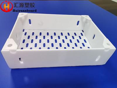 China Reusable Corrugated Plastic Box For Seafood  , Corrugated Plastic Storage Bins for sale