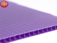 China Triangular Purple Corrugated Plastic Tree Guards 300 Gsm 600 Gsm for sale