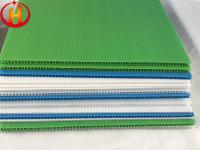 China Customizable Correx Floor Protection Waterproof Pp Hollow Board for sale