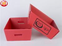 China Reusable 1800gsm Plastic Corrugated Totes Waterproof For Pharmaceutical for sale