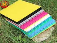 China 5mm 1200gsm Corrugated Plastic Sheets Reusable Moisture Proof for sale