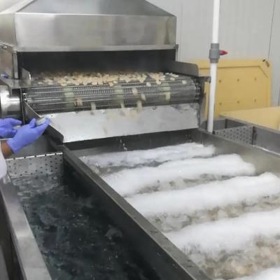 China 1000kg-1500kg Shrimp Processing Machine Multiscene Fish Freezing Machine for sale
