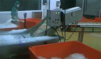 China 1000kg-1500kg Shrimp Processing Machine Multiscene Fish Freezing Machine for sale