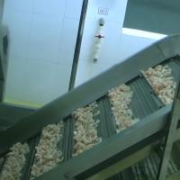 China Automatic Fish Processing Plant Equipment 1000kg-1500kg Multi Function for sale