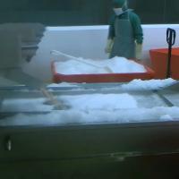 China Automatic Fish Processing Plant Equipment 1000kg-1500kg Multi Function for sale