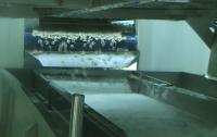 China Automatic Fish Processing Plant Equipment 1000kg-1500kg Multi Function for sale