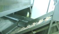 China Automatic Fish Processing Plant Equipment 1000kg-1500kg Multi Function for sale