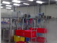 China Auto Shrimp Soaking Machine Blender Multi Function 1.1KW Seafood Processing Equipment for sale