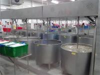 China Automatic Shrimp Soaking Machine SUS304 Seafood Processing Line for sale