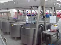 China Automatic Shrimp Soaking Machine SUS304 Seafood Processing Line for sale