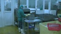 China 600kg/H Seafood Processing Machinery Automatic Prawn Cutter for sale