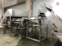 China Multifunctional CE Prawn Processing Unit Shrimp Deheading Machine 1000KG Capacity for sale