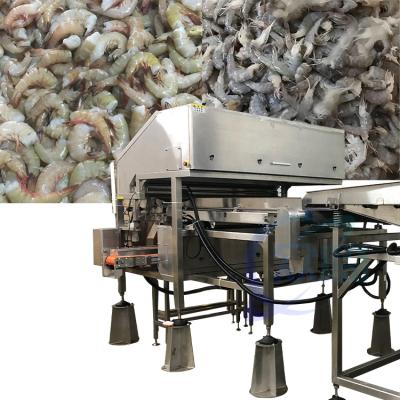 China 1500KG Capacity Shrimp Deheading Machine 380V 50Hz Shrimp Processing Unit for sale