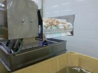 China Stainless Steel Fish Processing Plant ISO 380V Shrimp Processing Machine for sale