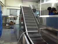 China 2.2KW Shrimp Processing Machine 380V Fish Processing Plant Equipment for sale