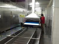 China 2.2KW Shrimp Processing Machine 380V Fish Processing Plant Equipment for sale
