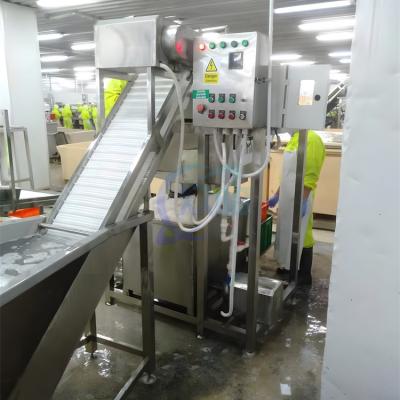 China Roller Shrimp Processing Equipment SS304 Shrimp Sorting Machine for sale