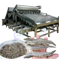 China 8 Rollers Shrimp Grading Machine 1500kg-1800kg Shrimp Sorter Industrial Automatic for sale
