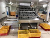 China 1000kg-1200kg Shrimp Grading Machine 380V Prawn Roller Grader for sale